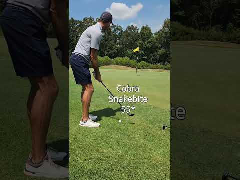 Cobra Snakebite greenside August 23, 2023
