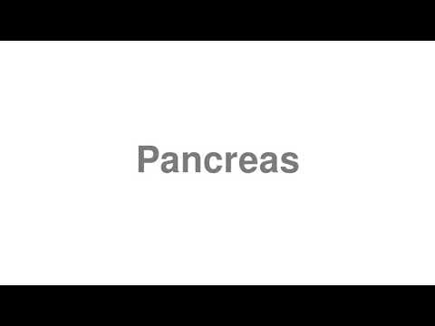 How to Pronounce "Pancreas"