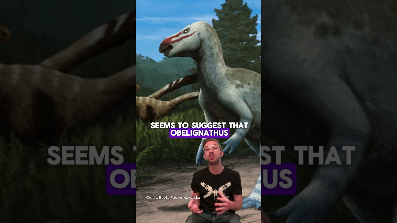 🚨New Dino Dropped🚨