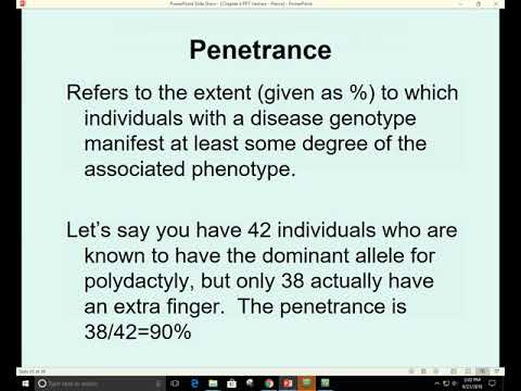 Genetics Chapter 4 Part 4