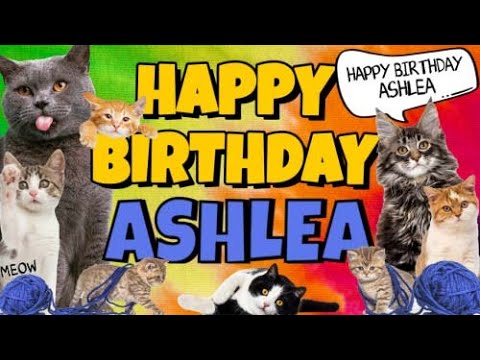 Happy Birthday Ashlea! Crazy Cats Say Happy Birthday Ashlea (Very Funny)