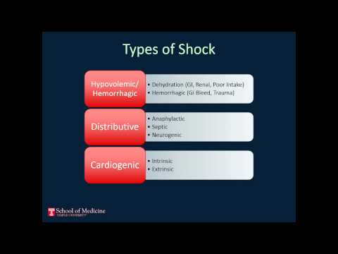 An Overview of Shock