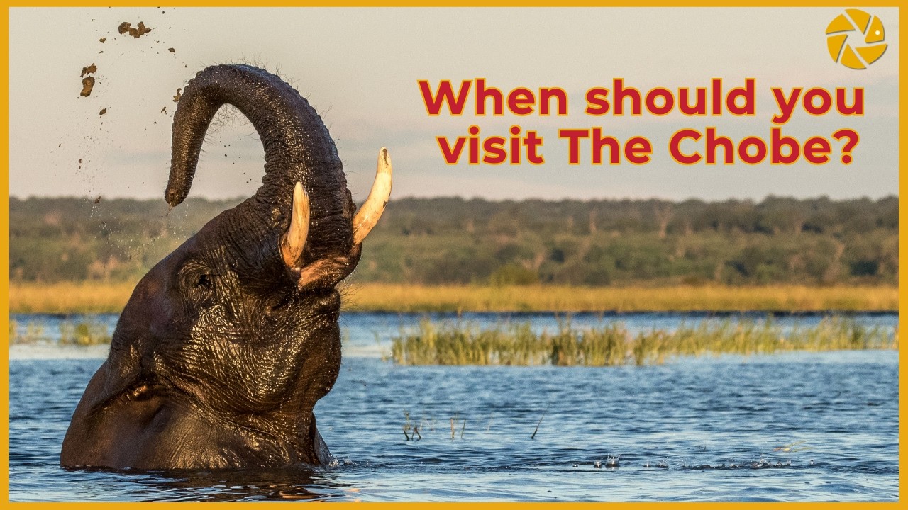 The Chobe River's Seasons Explained Month by Month.
