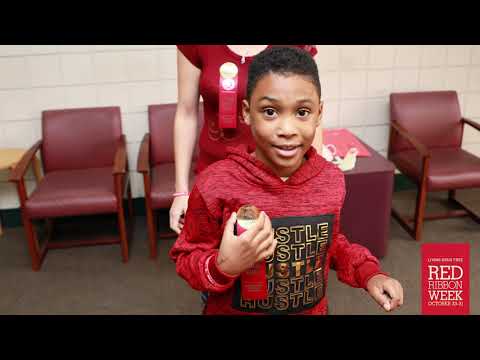 Red Ribbon Week - The Youth Connection
