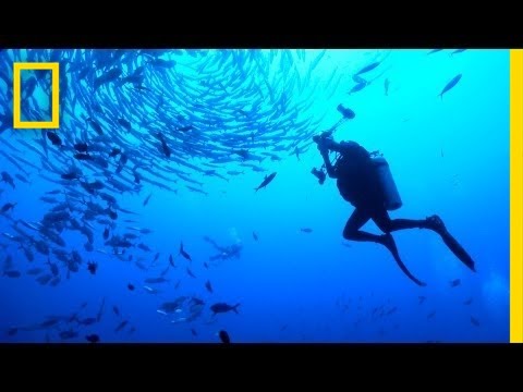 Photographer Revisits Underwater Paradise | National Geographic