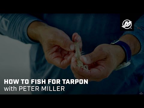 How to Fish for Tarpon with Peter Miller
