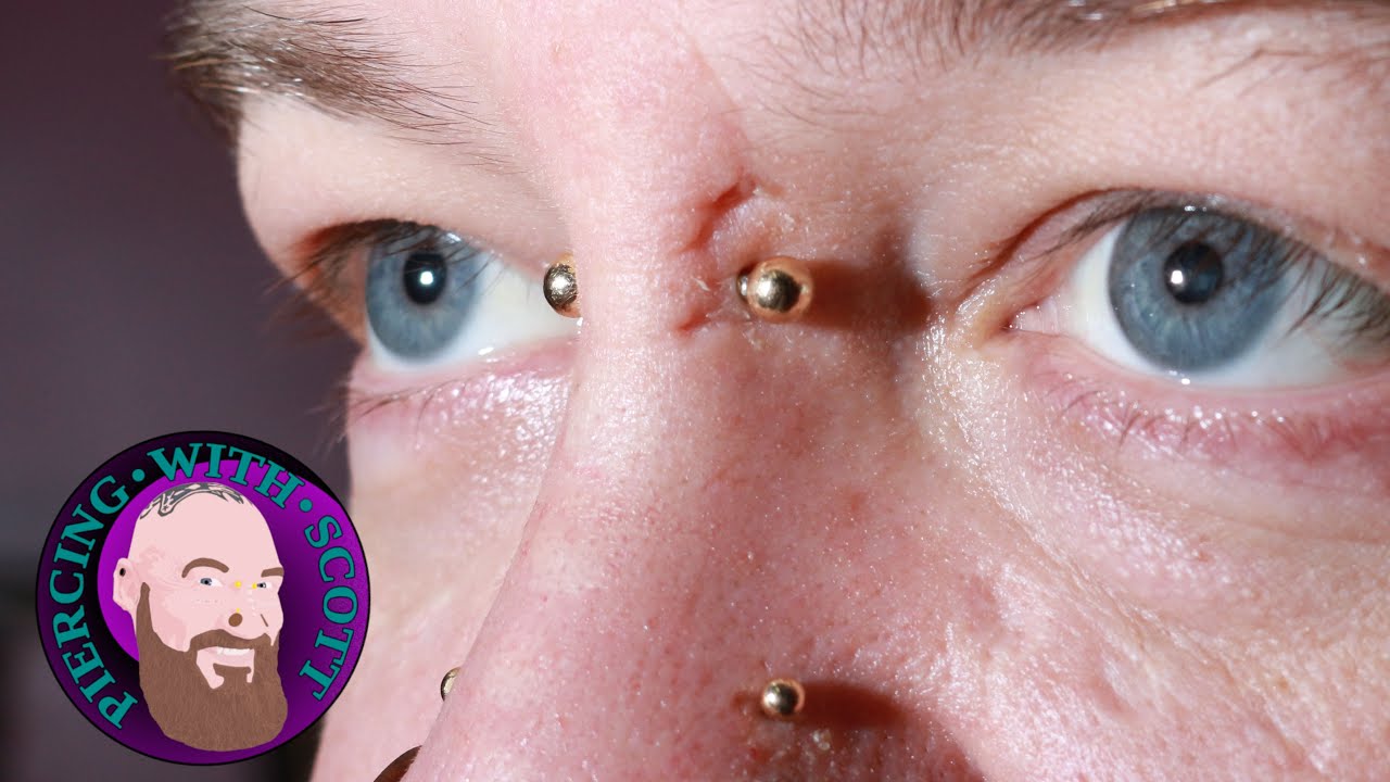 The Whole Truth - Bridge Piercing