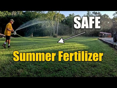 Safe Summer Lawn Fertilizer
