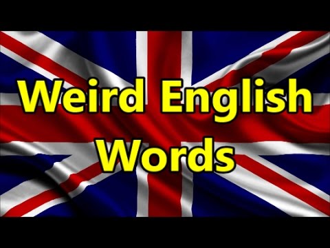 Weird English Words (and their meanings)
