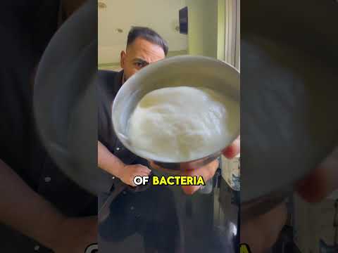 Doctor Explains How To Make Probiotics At Home!
