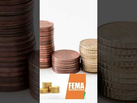 What is the FEMA Act?
