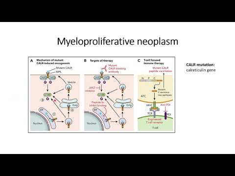 Cancer: Myeloproliferative neoplasm and calreticulin mutation #Code: 224