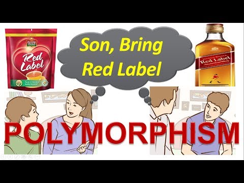 OOAD-4: Polymorphism simplified @Object Oriented Programming tutorial