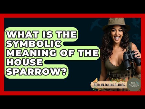 What Is The Symbolic Meaning Of The House Sparrow? - Bird Watching Diaries