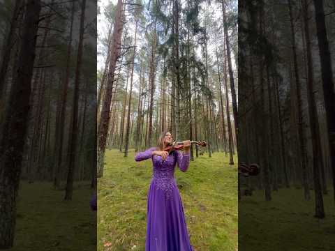 Chronicles of Narnia - Battle theme (violin cover) #instrumental #violin #battlescene #narnia