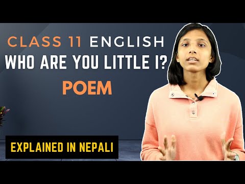 Who are you little I? Class 11 Summary in Nepali || NEB 11 English