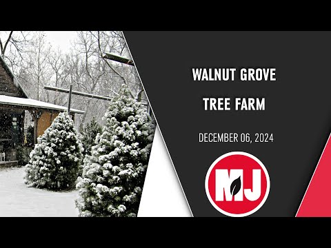 Walnut Grove Tree Farm | December 06, 2024