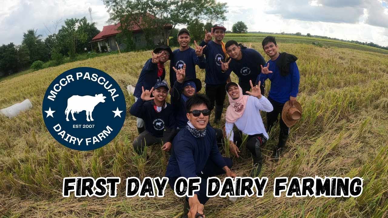 Dairy farm Training | Talavera Nueva Ecija