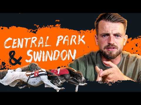 4 and 6 Bend Greyhound Racing MADNESS! | Can I Keep My Cool and Return Profit?