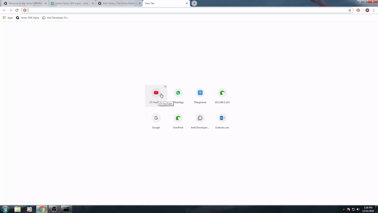 Vector SDK tutorial - 00 - Intro
