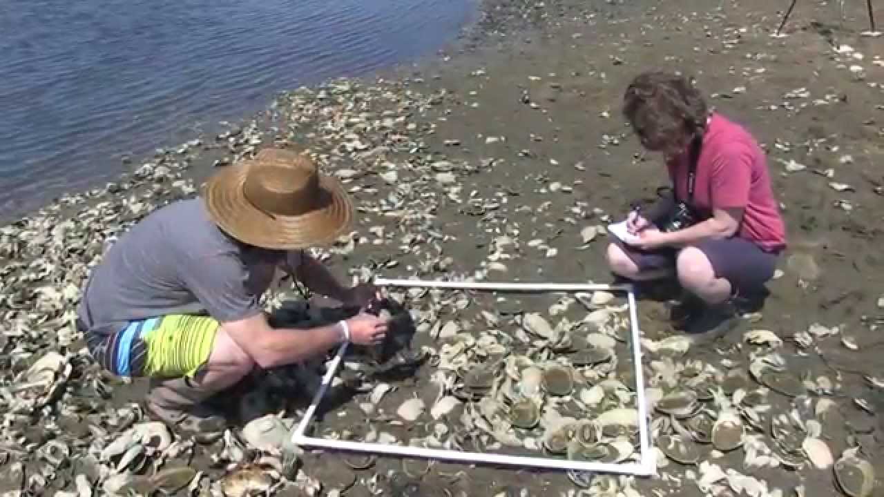 Coasts and Communities Open Course