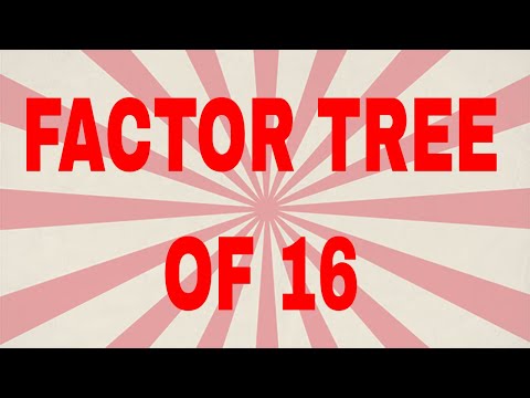 Factor tree of 16|Prime factor tree