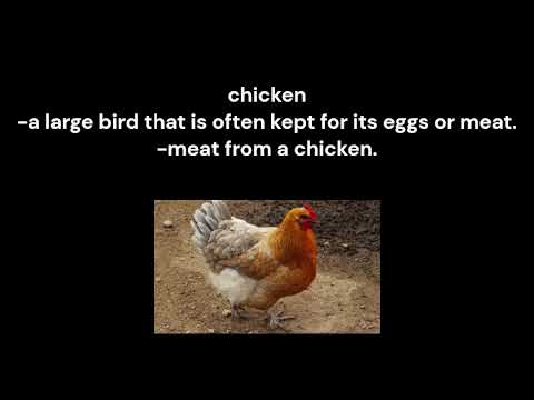 chicken meaning and pronunciation