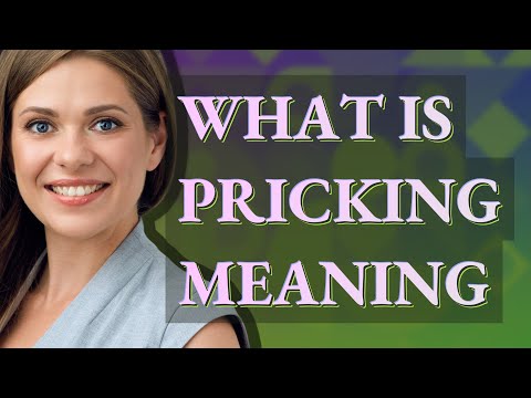 Pricking | meaning of Pricking