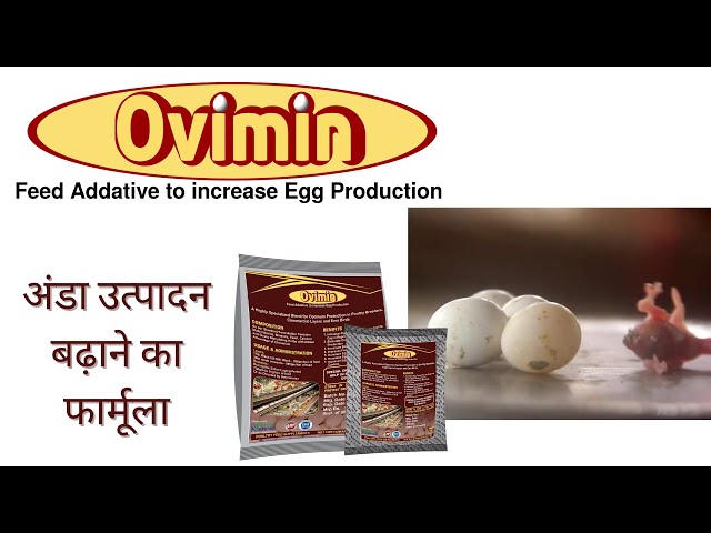 Poultry Medicines - Poultry Egg Enhancer Supplement (ovimin ...
