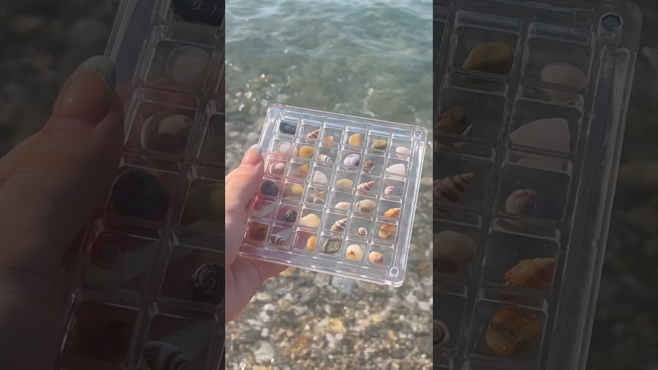 Collecting little sea shells and rocks🐚🤍