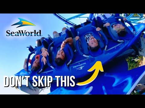 These are the 3 BEST roller coasters at SeaWorld Orlando You Can't Miss!