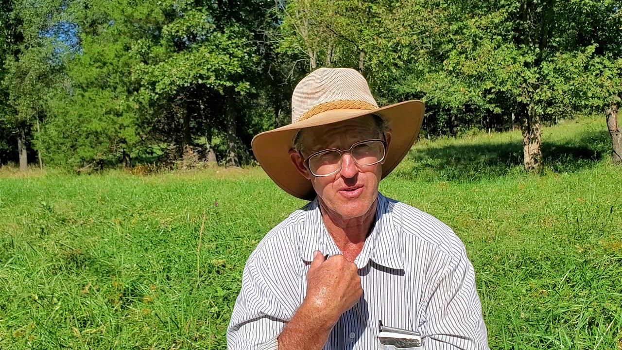 No Land, No Money, No Livestock, this video explains how to make a full time living on leased land.