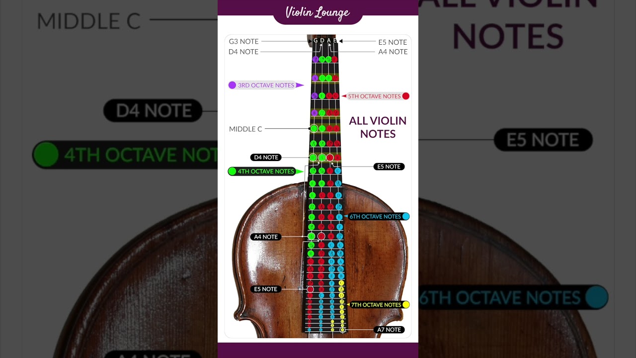 All violin notes and octaves #shorts