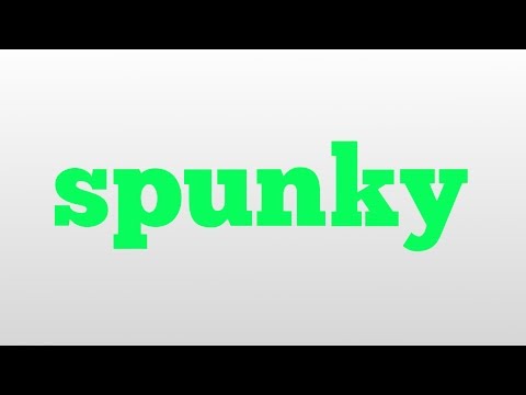 spunky meaning and pronunciation