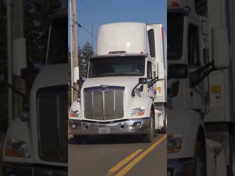 Streamline Your Freight Business with TMS Power