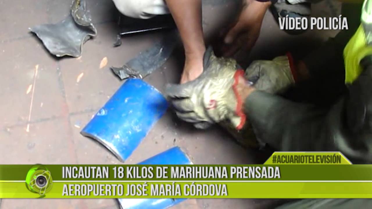 Incautan 18 kilos de marihuana prensada en el aeropuerto José María Córdova