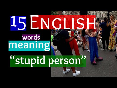 15 English words and phrases meaning “a stupid person” [+London Street Photography]