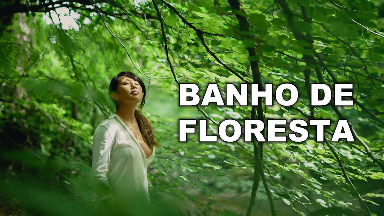 Exploring Shinrin-Yoku: The Healing Power of Forest Bathing | Galaxy.ai