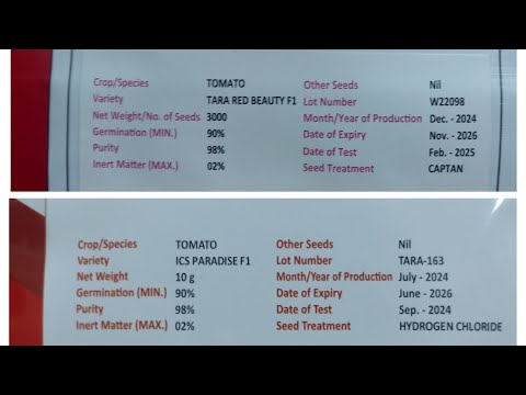 Tomato cultivation | Hybrid Varieties | Choosing the best tomatoes to grow in the field