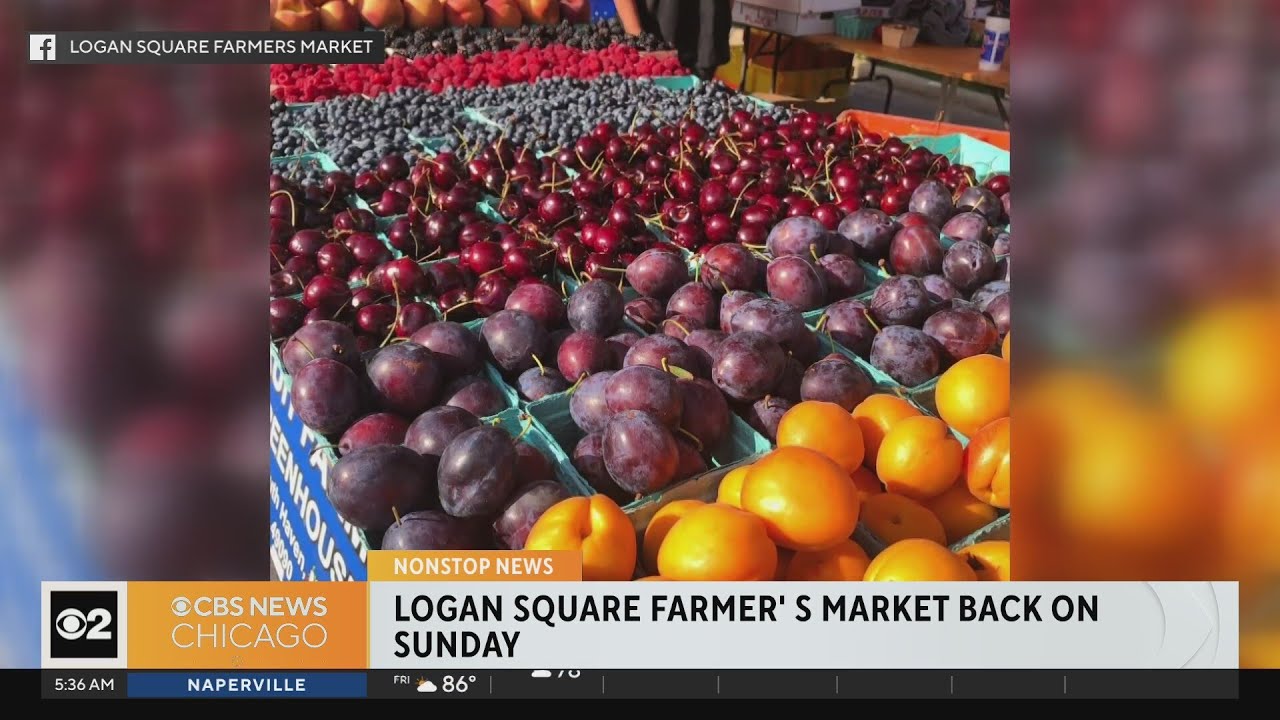 Logan Square Farmer's Market back on after backlash