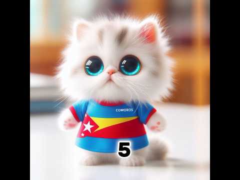 Cat paw prints, Cat meowing, Cat naps #cat #kitten #cute #catlover #cutecat #catvideos #catshorts