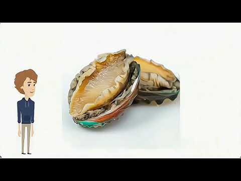 A WORD A DAY (AWAD)- Abalone - Meaning, Pronunciation & Usage