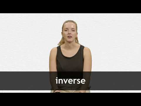 English Translation of “INVERSE” | Collins French-English Dictionary