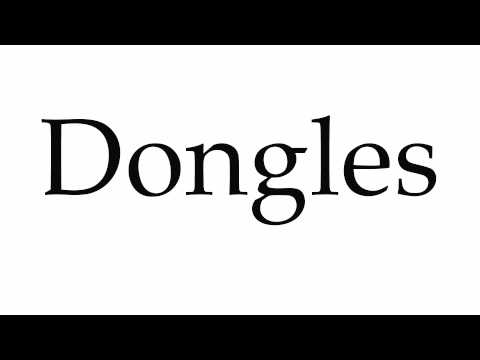 How to Pronounce Dongles