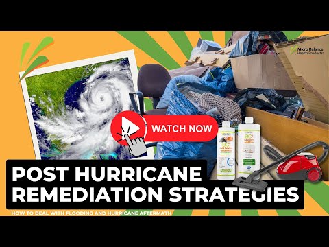 WHERE To Start And HOW To Begin After Hurricane Damage #remediation