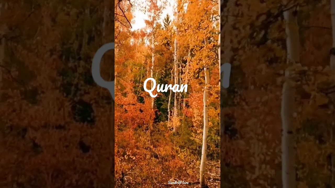 Surah Al Isra Ayat 37 38 quran qurantranslation