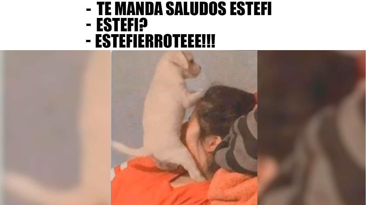 MEMES #5 😂