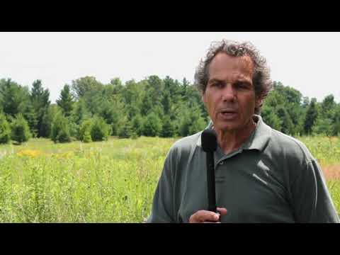 Keith | Protecting our homes and water