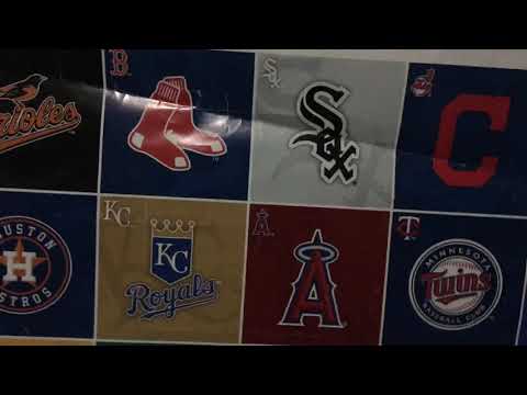 Mlb logos 30-8