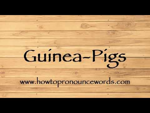 How To Pronounce Guinea-Pigs ? How To say Guinea-Pigs New Video